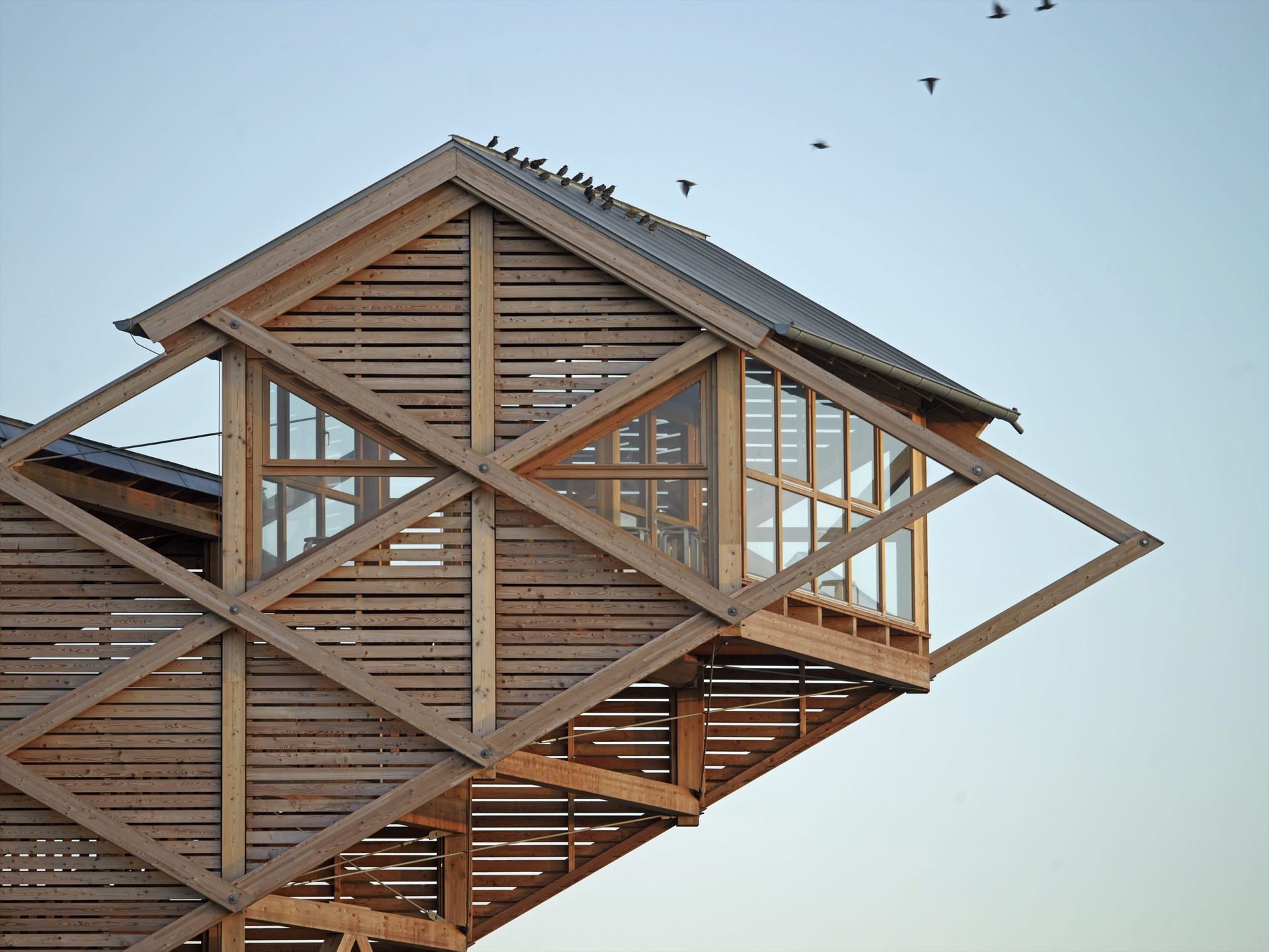 Bird Observation Tower on Graswarder - Projects - gmp Architekten