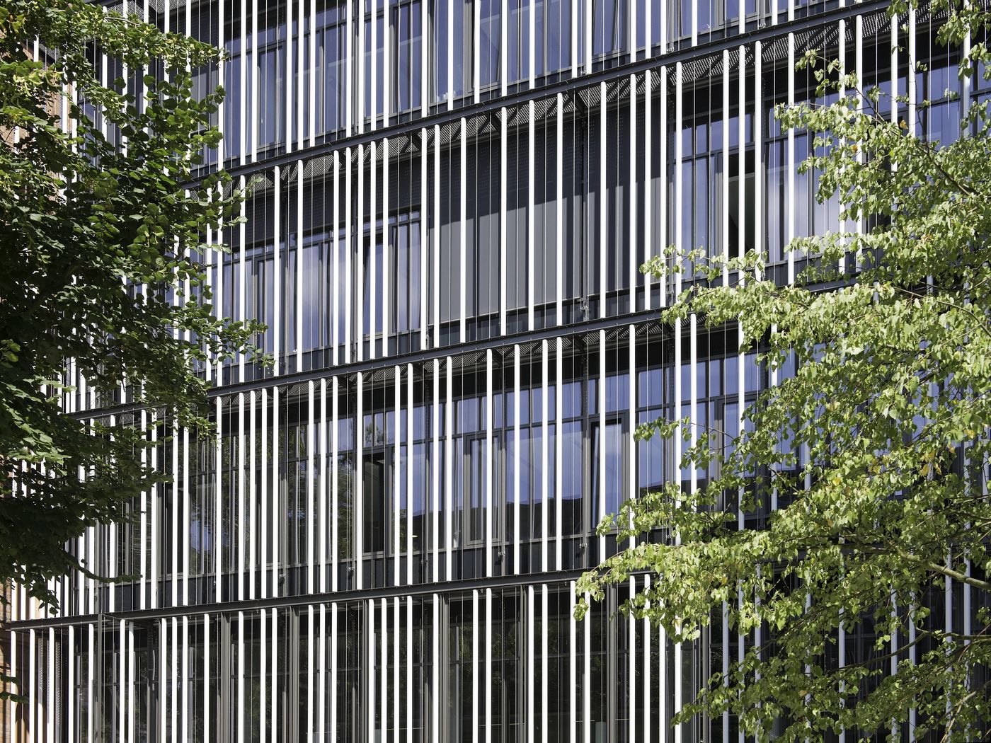 Main Building for Hamburg University of Technology, Schwarzenberg ...
